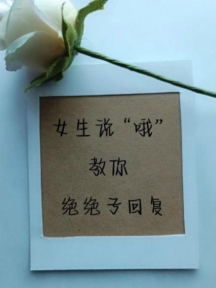 女生说what怎么回复图标