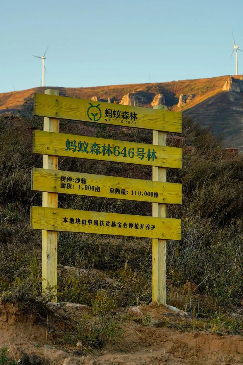 蚂蚁森林华北豹图标