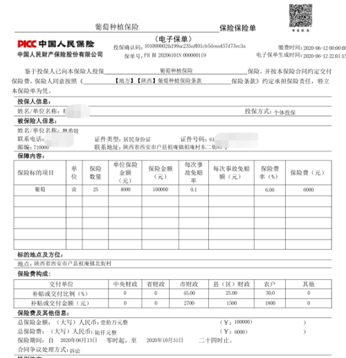 国元农业保险保单查询