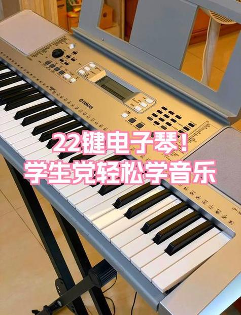 电子琴长期不用会坏吗图标