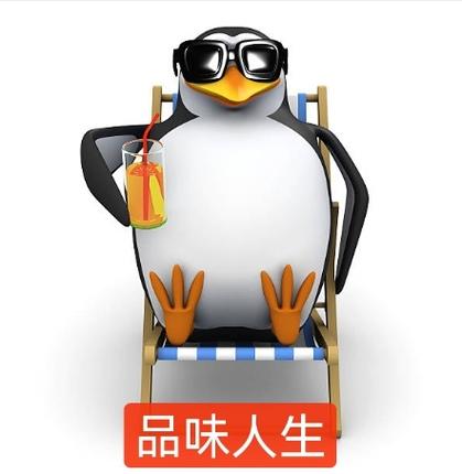 企鹅表情包小图图标