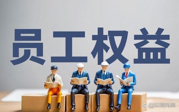 金蝶正式员工待遇图标