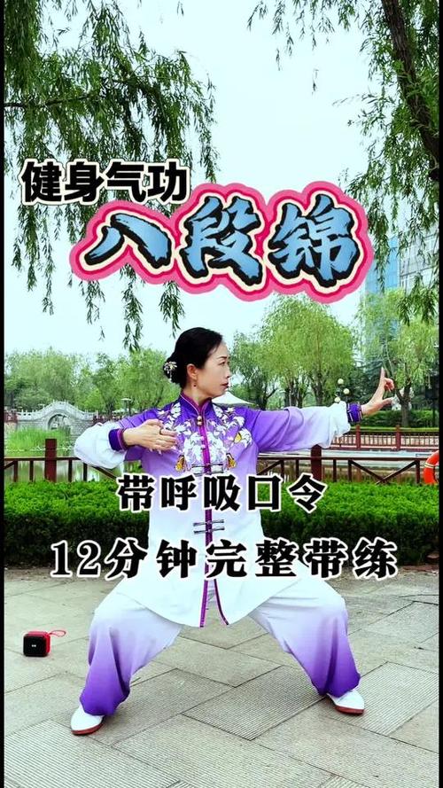 八锻炼身体八段锦教程视频八段锦高清口令版图标