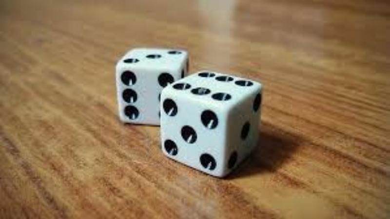 dice什么意思中文意思图标