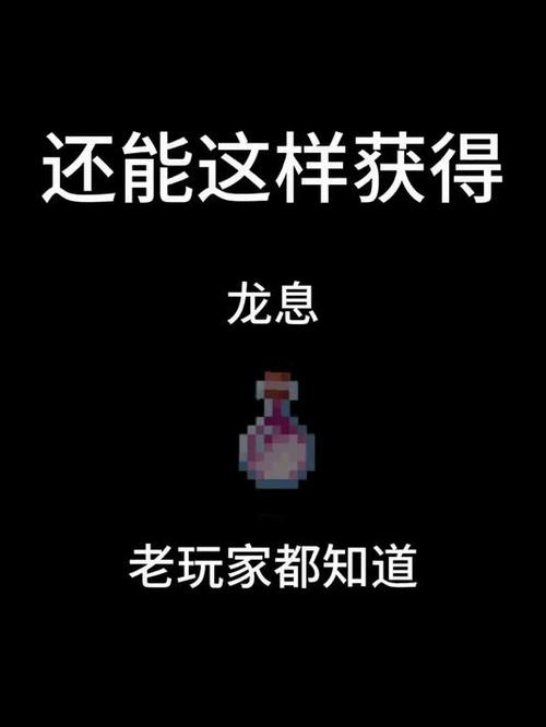 我的世界手机版龙息怎么获得图标