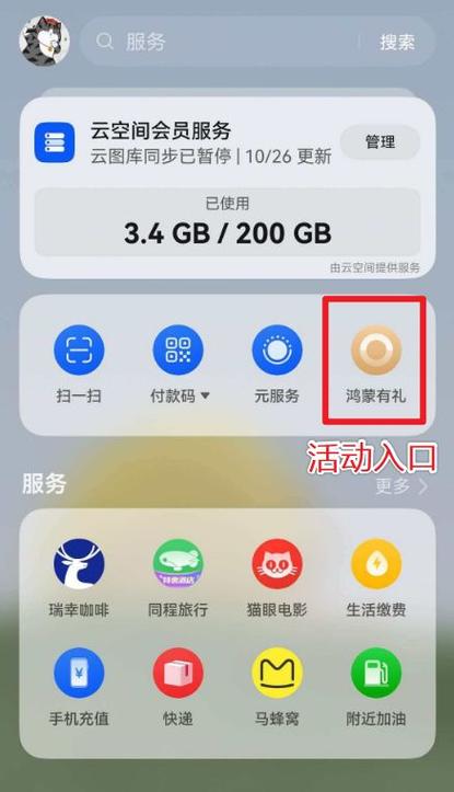 华为主题VIP图标
