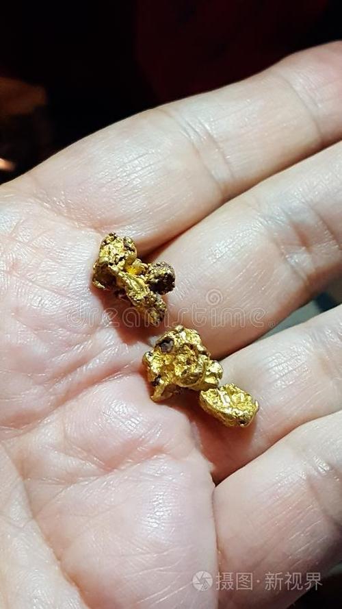 正版金截图