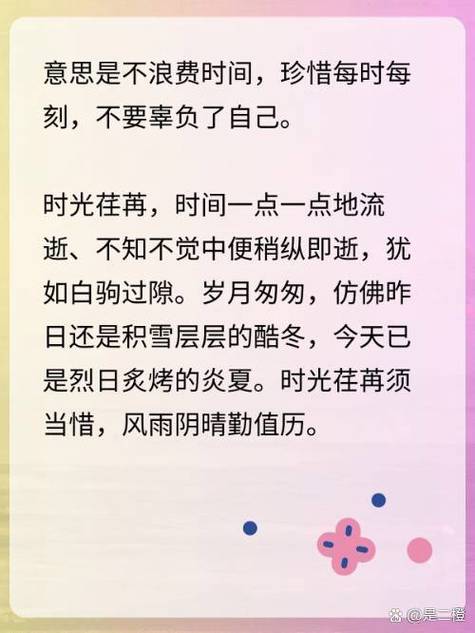 不负春光不负己图标
