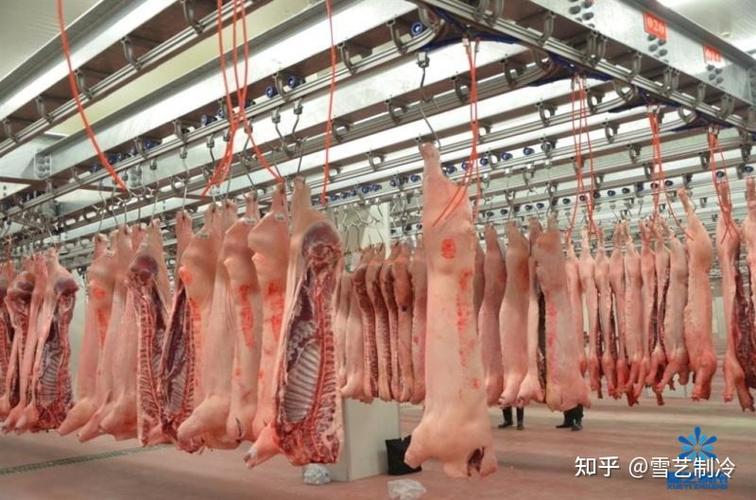 兔子加工肉联厂图标