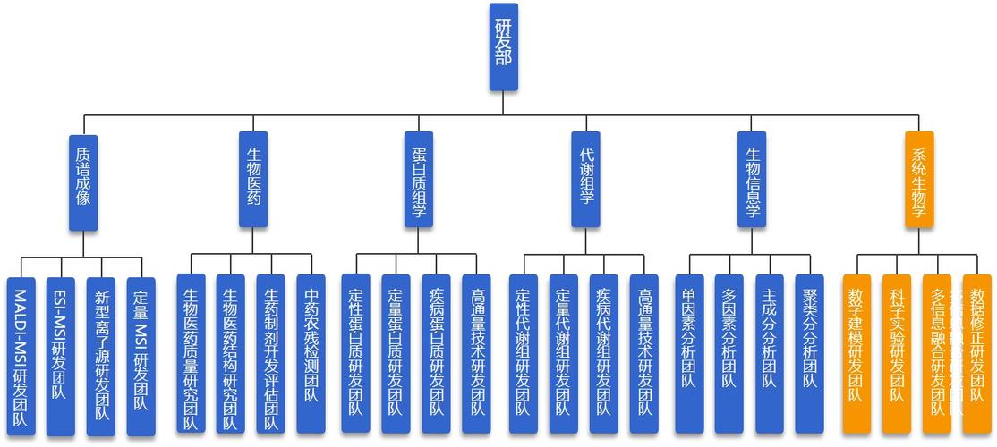 研发团队架构截图