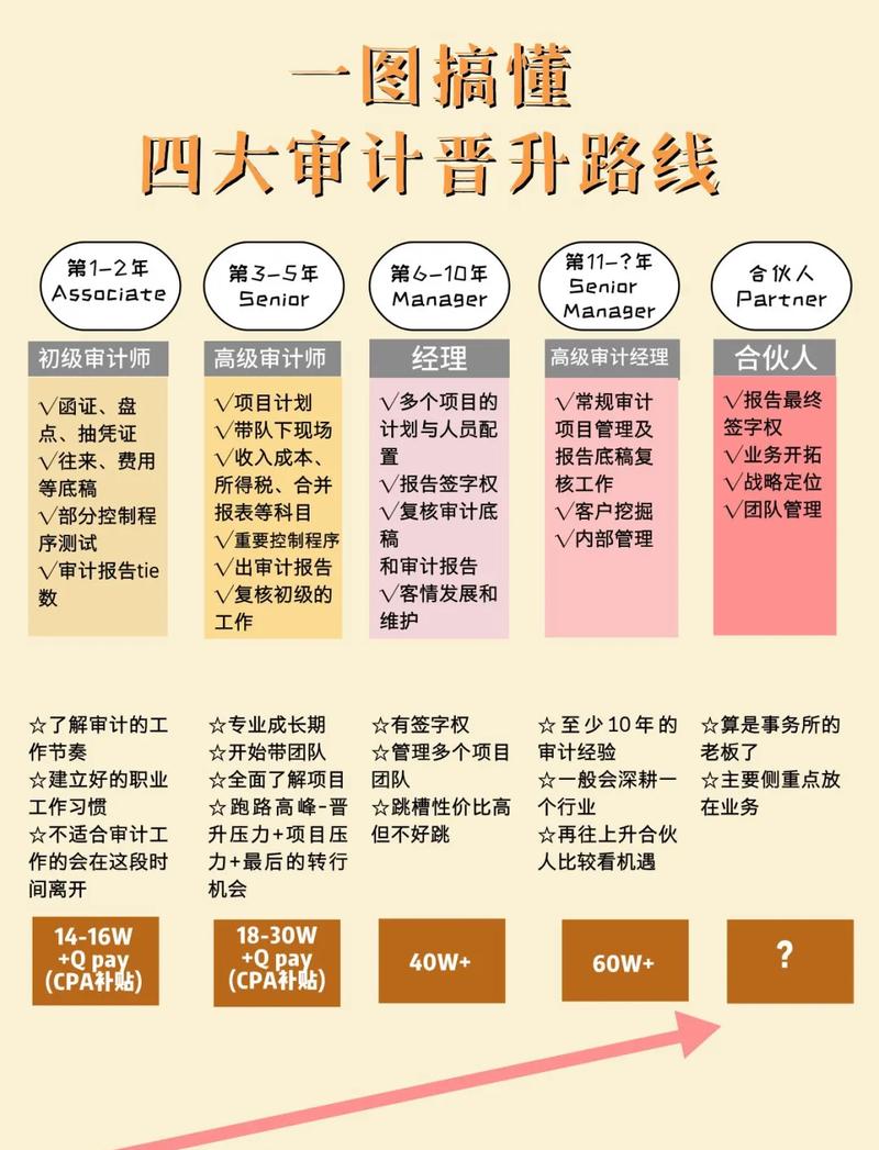 审计大师与中普审计比较图标