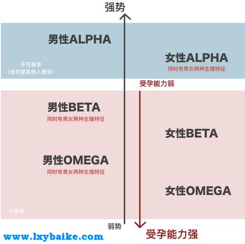Alpha在性取向里代表啥图标