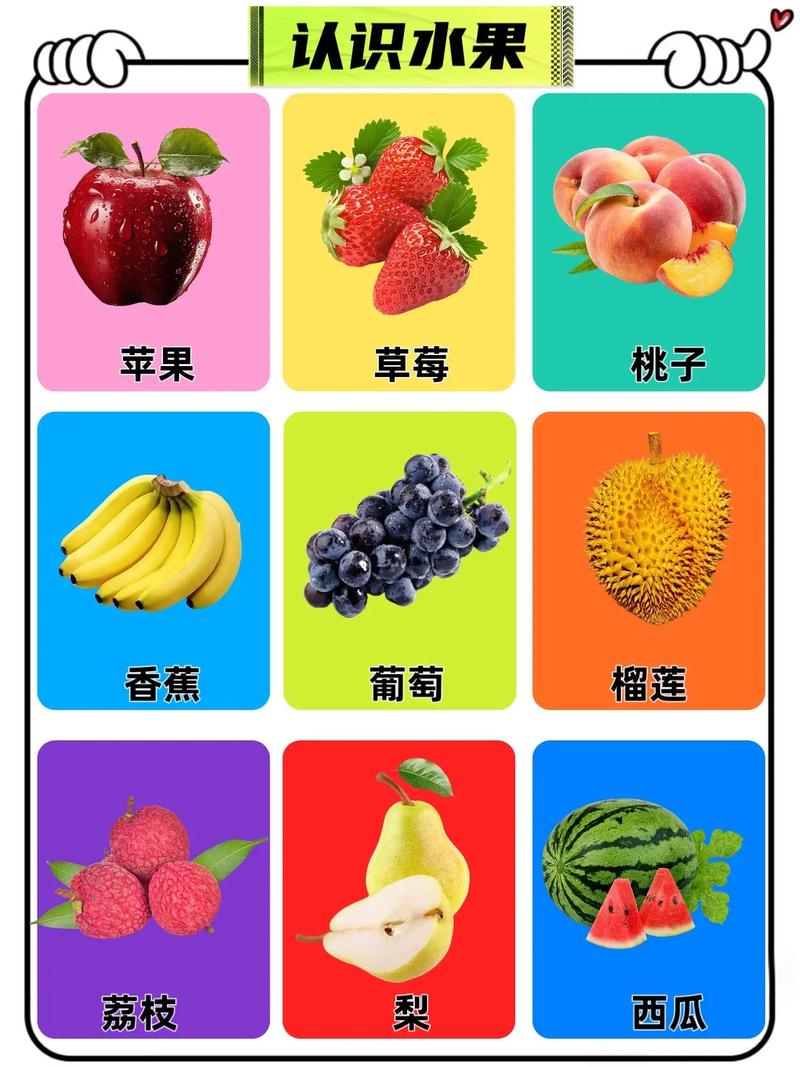 看图识物图标