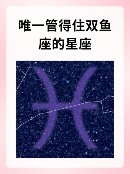 双鱼什么意思截图