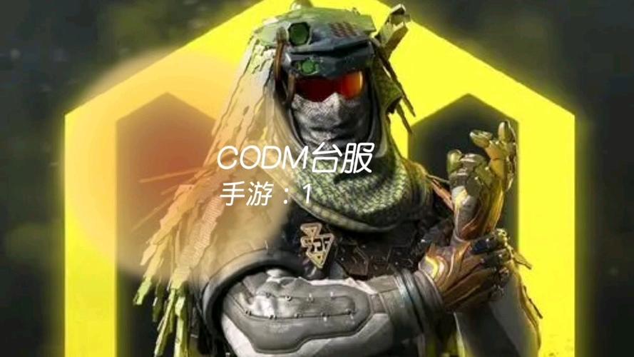 使命召唤手游台湾服图标