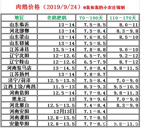 养鹅500只利润