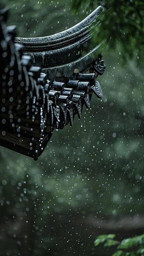 十大最美雨景照片截图