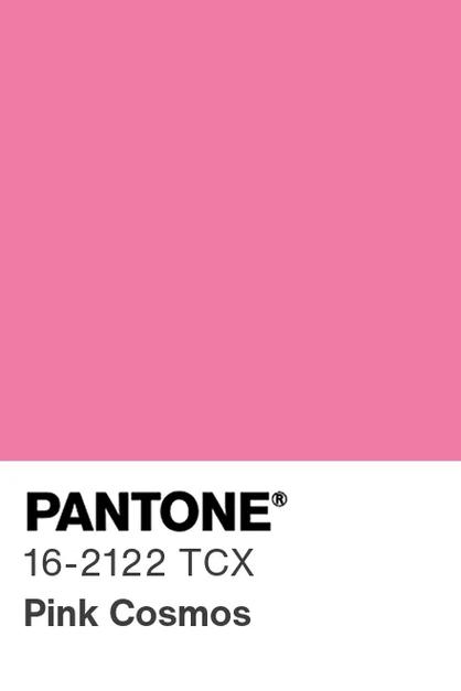 Pink是不是粉色