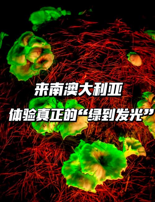屏幕上有绿点的原因图标