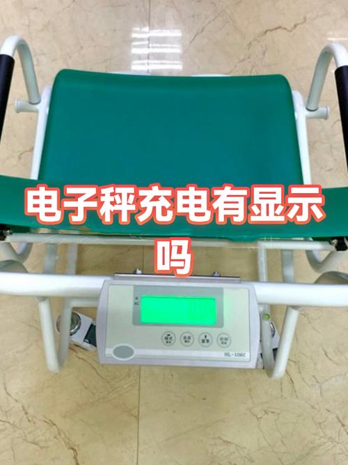 电子秤上充电的交流亮正常吗图标