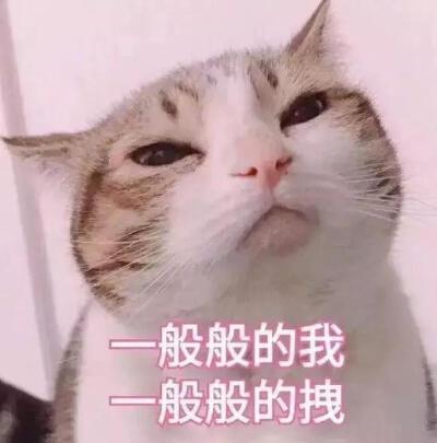 一般般表情包图片图标