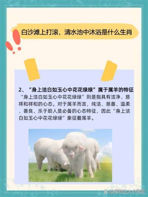 白白嫩嫩打一准确生肖图标