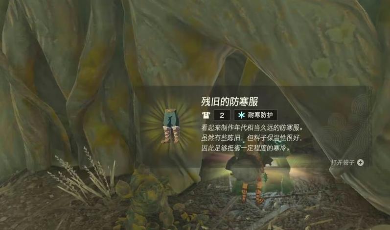 塞尔达传说怎么得到防寒服截图