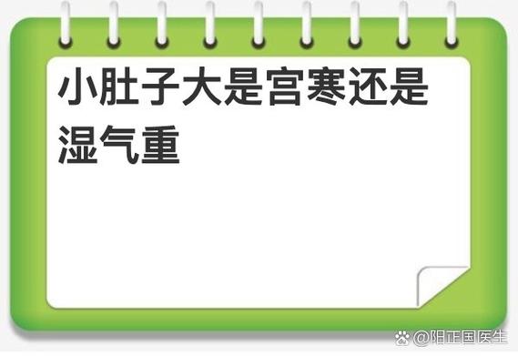 小肚子大是宫寒还是湿气重图标