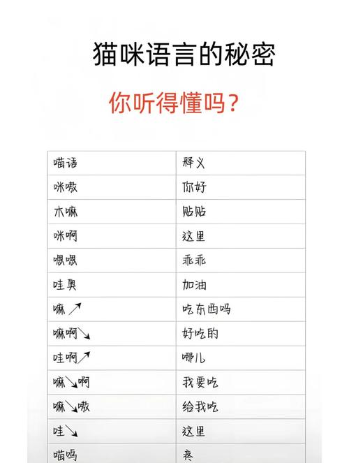 猫语小说官网下载图标
