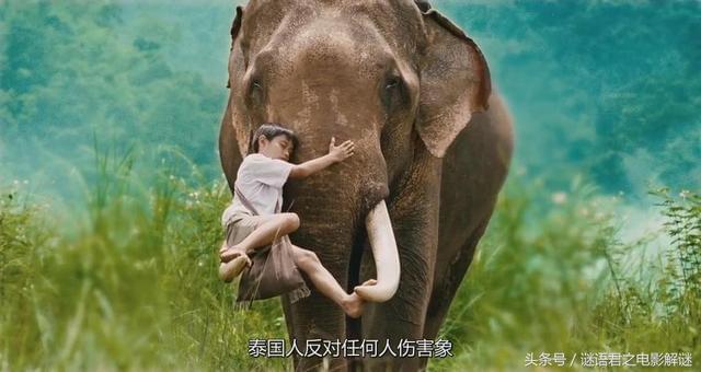 一拳打死一头大象的电影