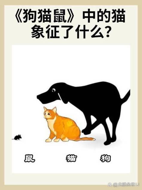 狗·猫 鼠图标