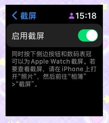 苹果手表怎么降低版本图标