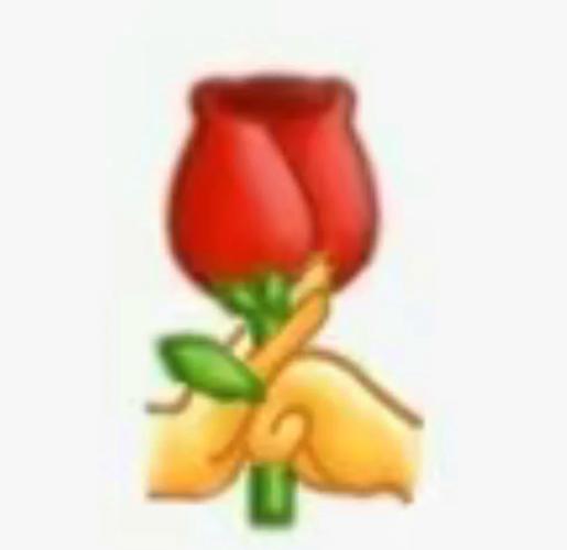 玫瑰花表情图标