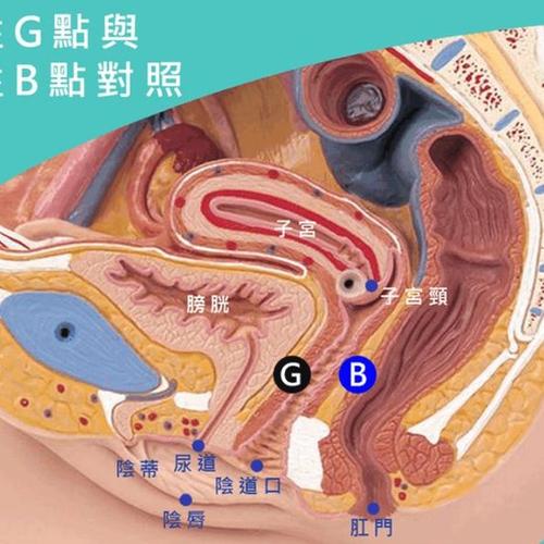 G位是什么意思截图