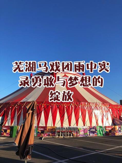 时光服马戏团开放时间截图