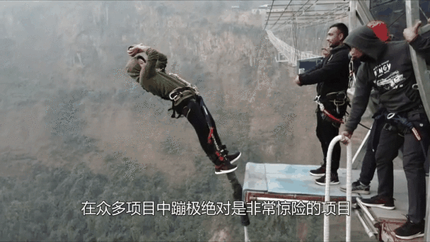 蹦极的好处与坏处图标
