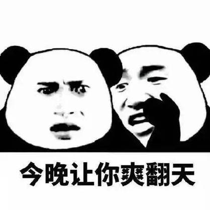 骂人沙雕熊猫表情包图标