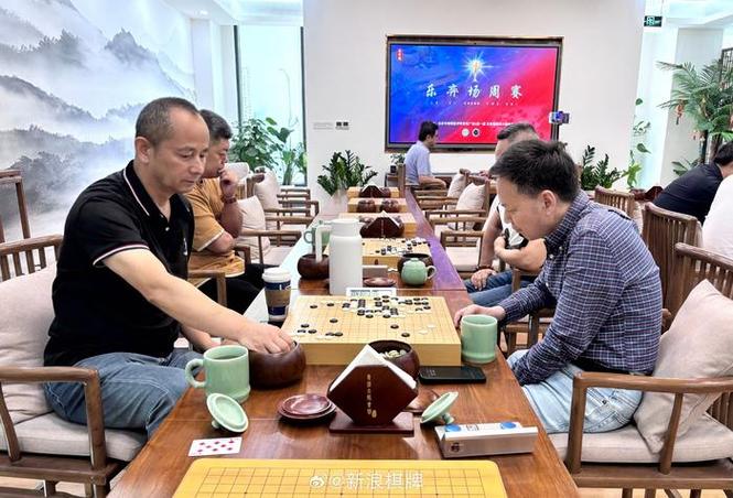 新浪弈乐天地围棋直播图标