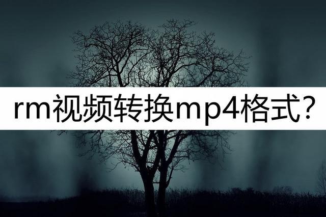 rm视频无法播放图标