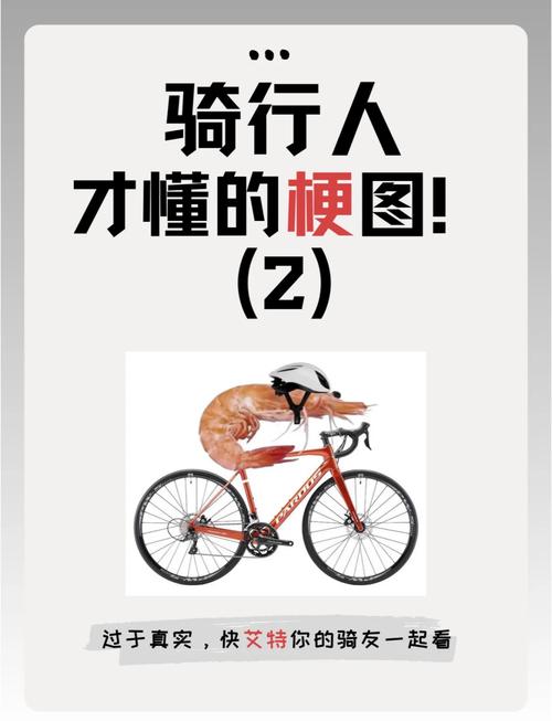 骑行俏皮话八个字截图