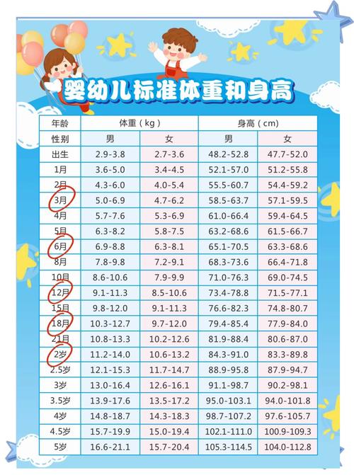 2024年工资标准表图标