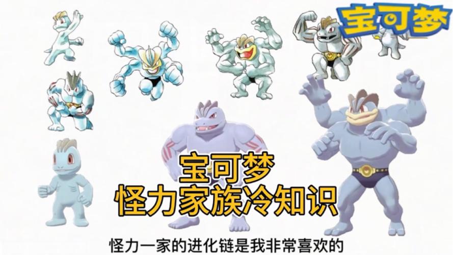 宝可梦剑盾怪力怎么进化图标