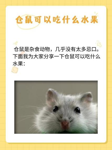 仓鼠十大禁忌水果图标