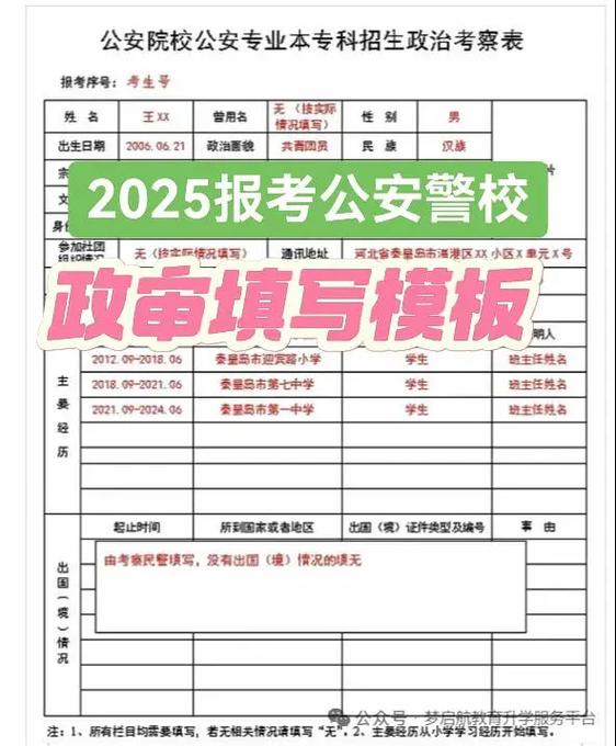 公安政审表模板图标