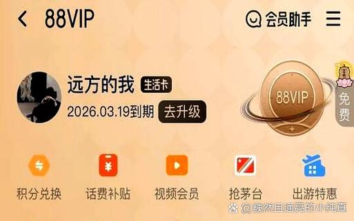 88vip会员优酷怎么领取图标