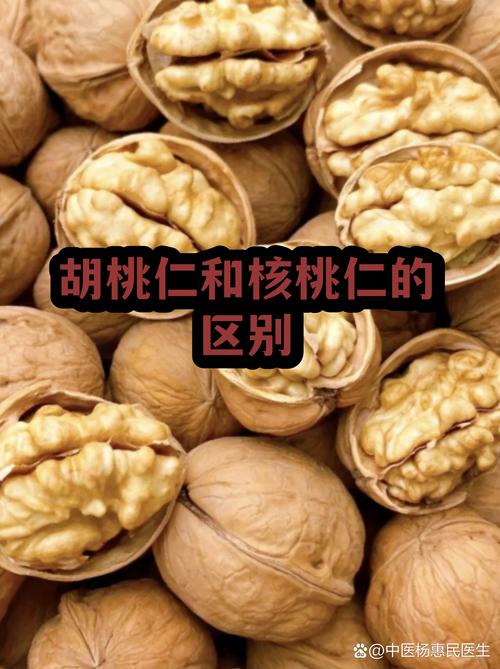 胡桃和核桃区分截图