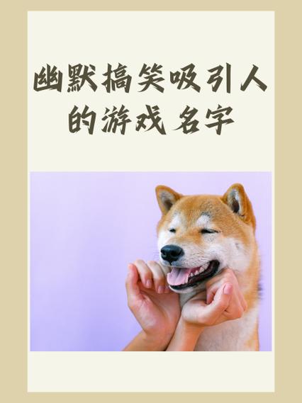 射手职业的搞笑游戏名截图
