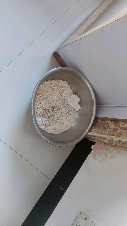 给猫咪换猫砂盆要注意什么