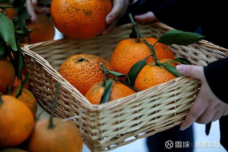京东生鲜保质期规则
