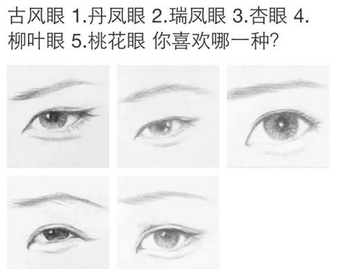 桃花眼杏眼丹凤眼图片图标